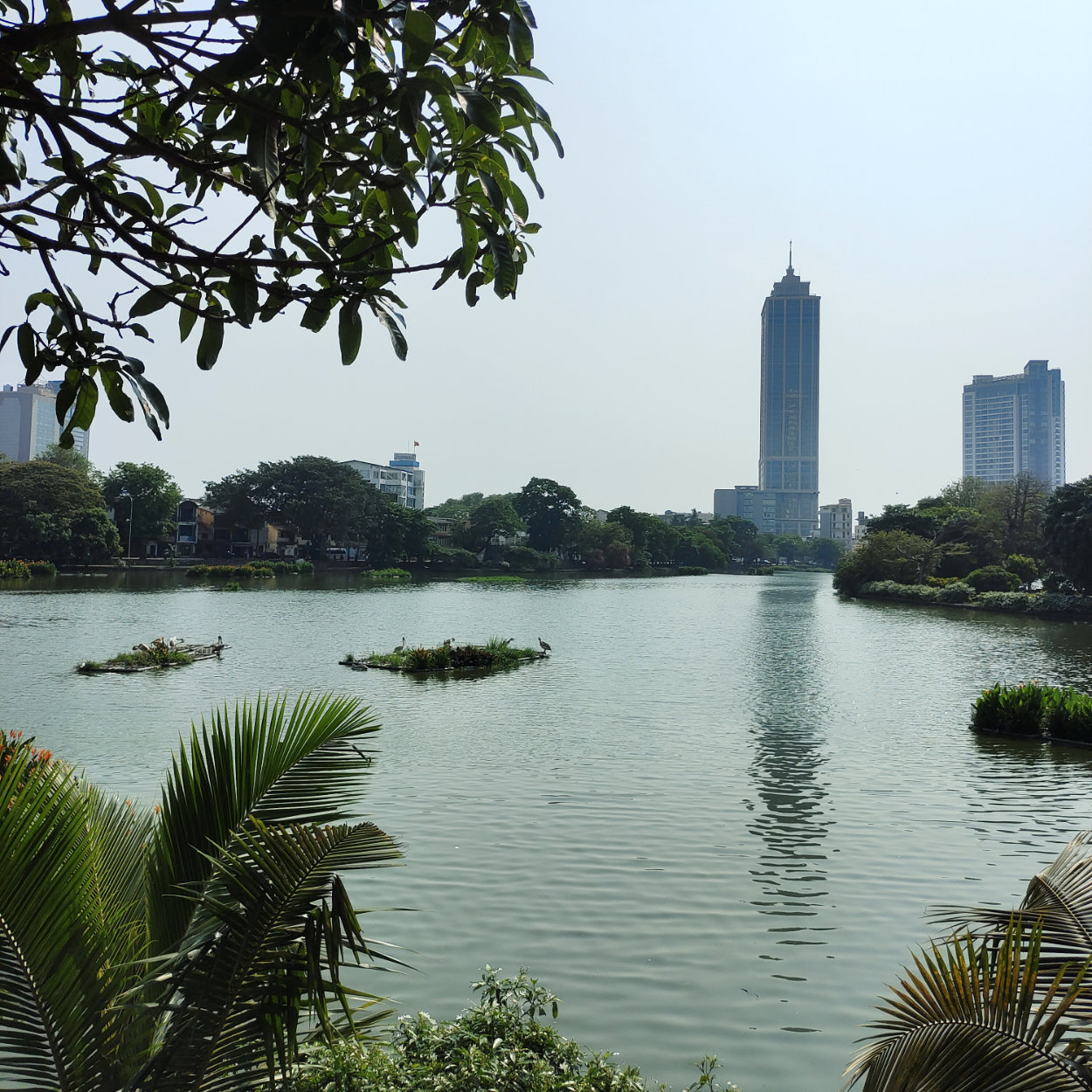 סרי לנקה - גול וקולומבו - סיום הטיול
